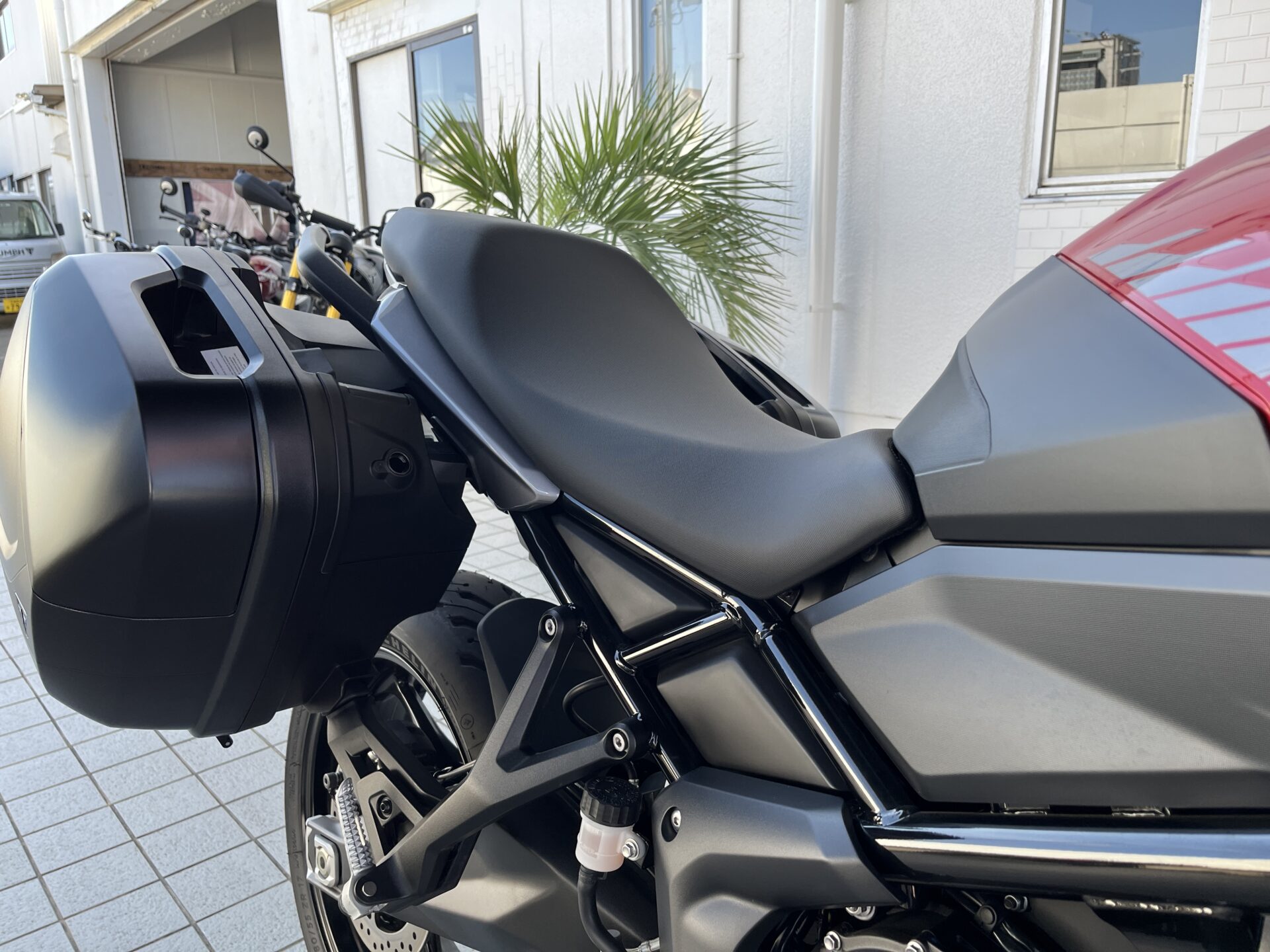 IMG_2713 | トライアンフ水戸