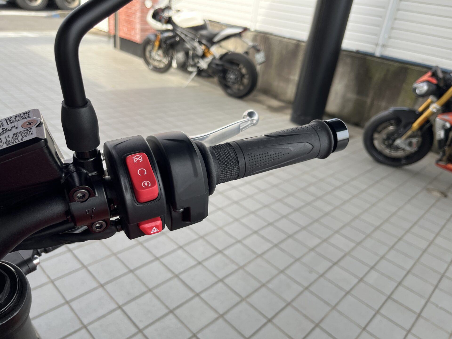 IMG_3099 | トライアンフ水戸