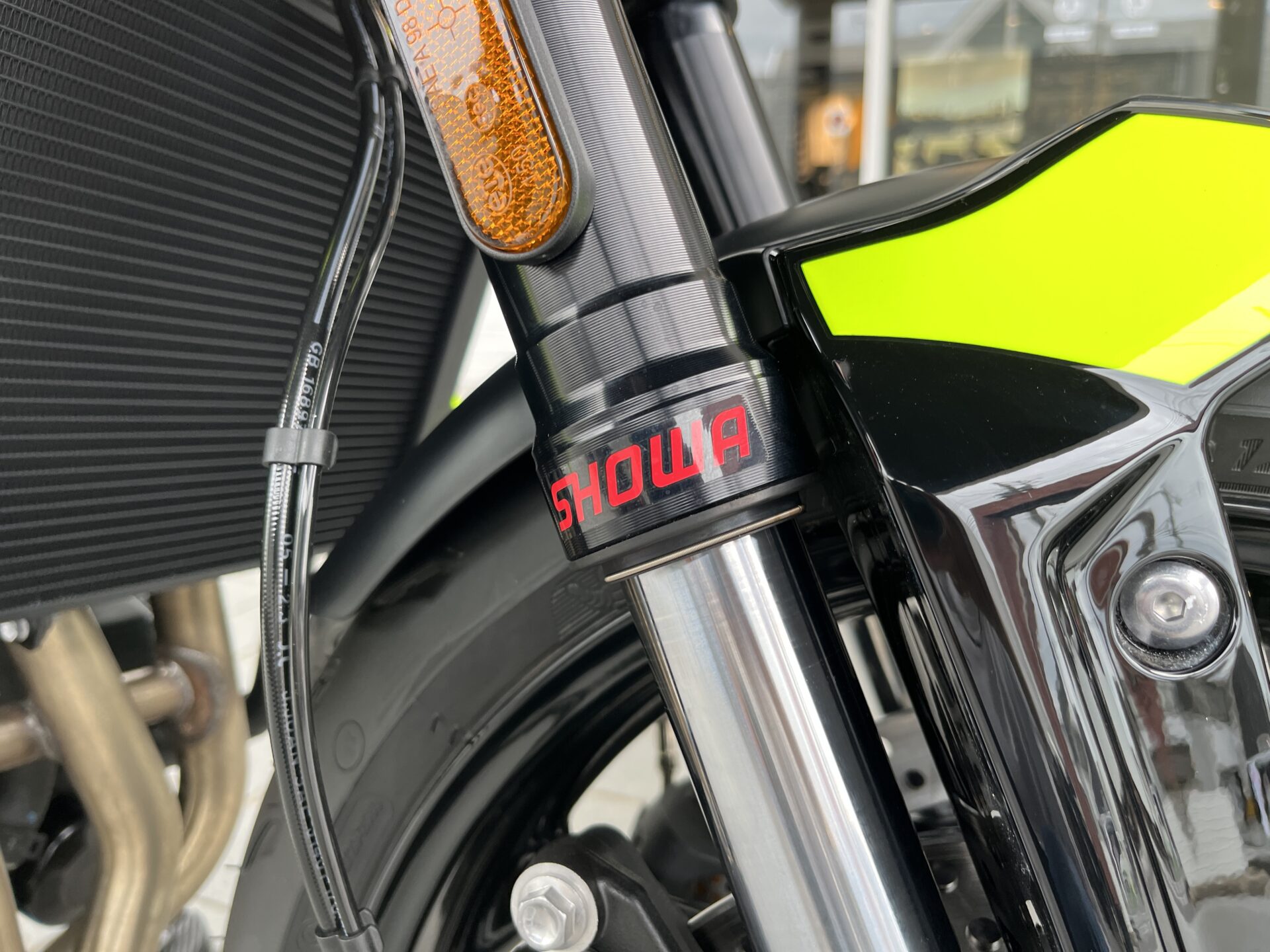 IMG_3135 | トライアンフ水戸