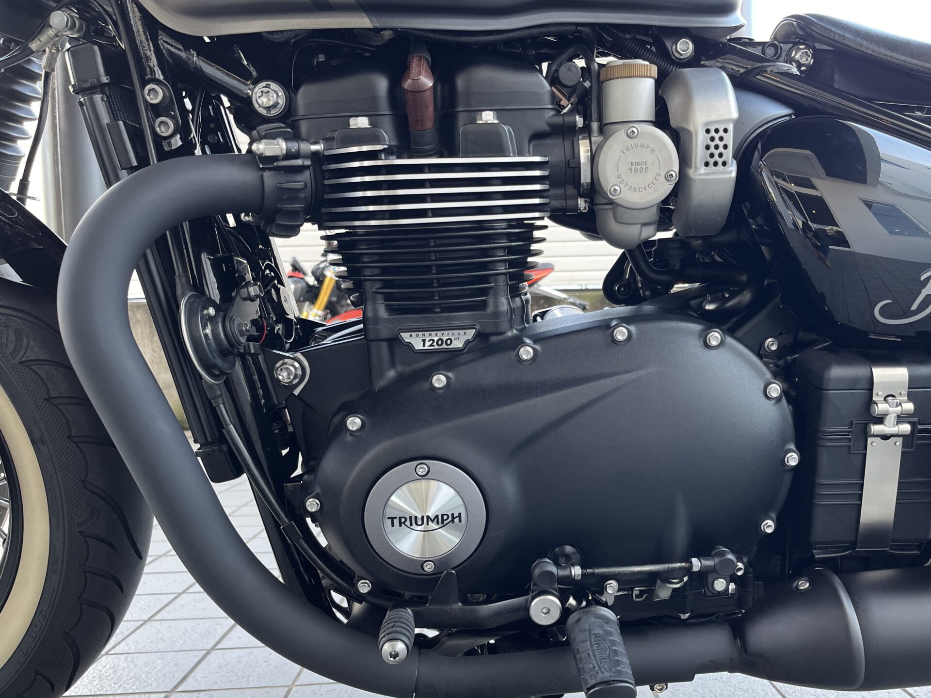 IMG_3242 | トライアンフ水戸